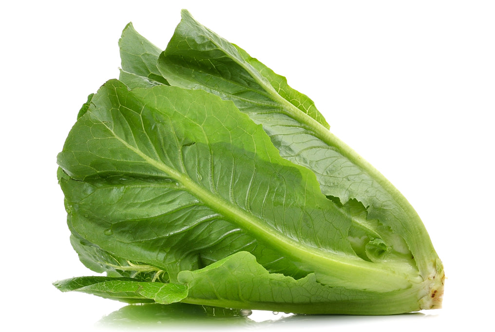 Selada Rumana - Romaine Lettuce / 500gr | Pasar Rakyat Bali
