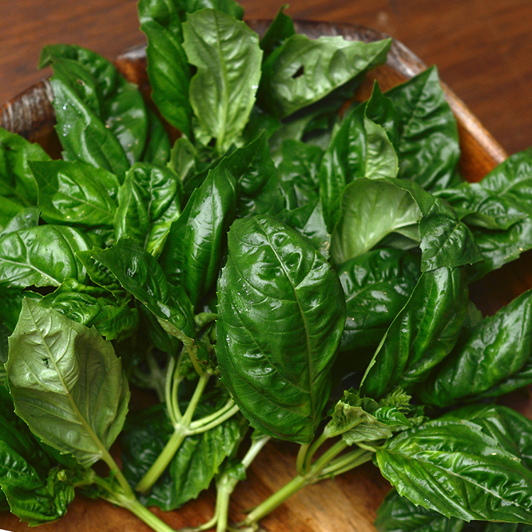Basil Organik / 100g | Pasar Rakyat Bali