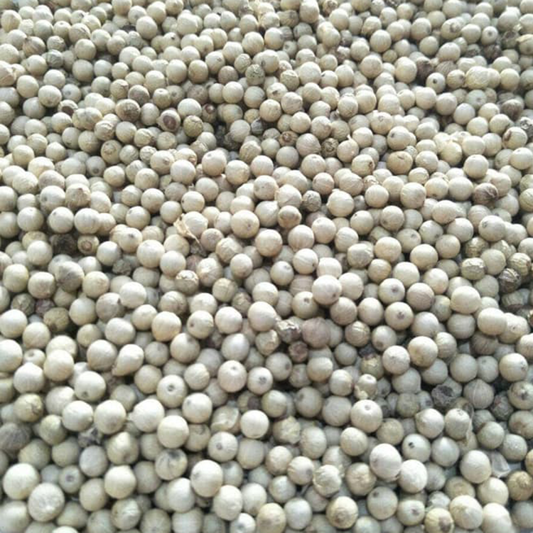 Merica Putih - White Pepper / 100gr | Pasar Rakyat Bali