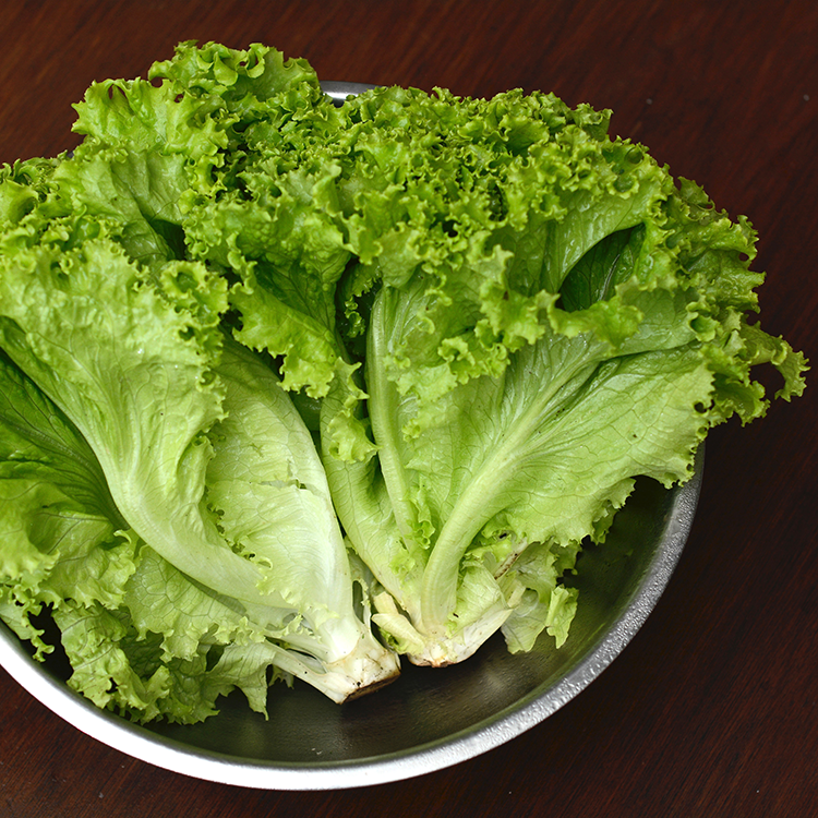 Selada Kriting - Green Leaf Lettuce / 500gr | Pasar Rakyat Bali